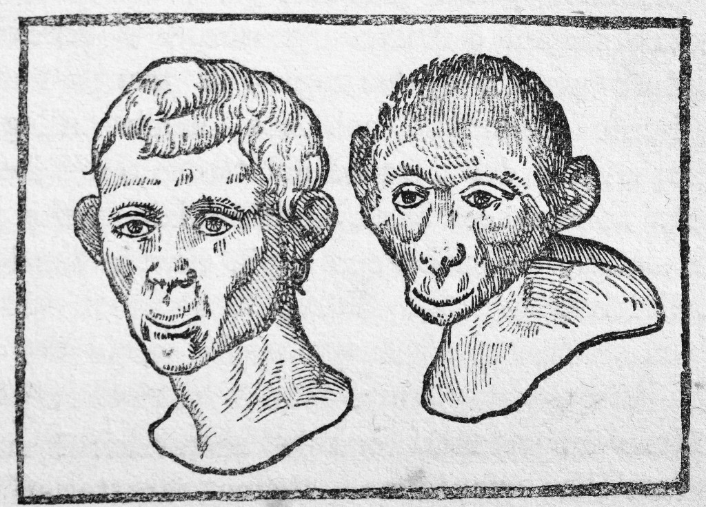 Ce qui nous rend humain - Books